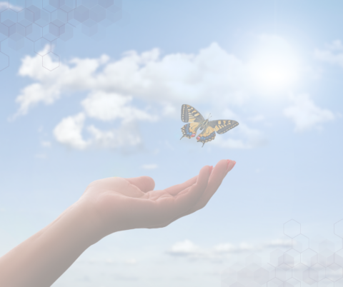 Be Transformed: Are You Misinterpreting This Verse? - Kendra Burrows